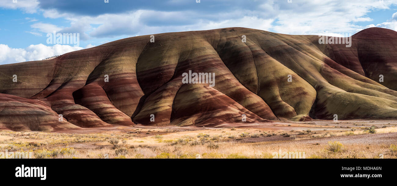 Fossil rock layers hi-res stock photography and images - Alamy