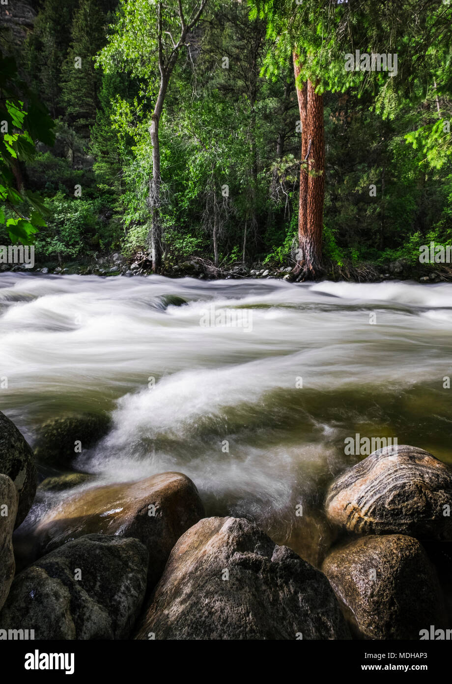 Surface view of wet rocks and water flowing in Leigh Creek, nestled ...