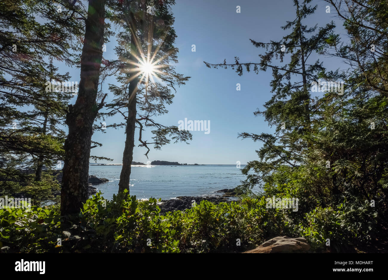 Ucluelet lighthouse loop hi-res stock photography and images - Alamy