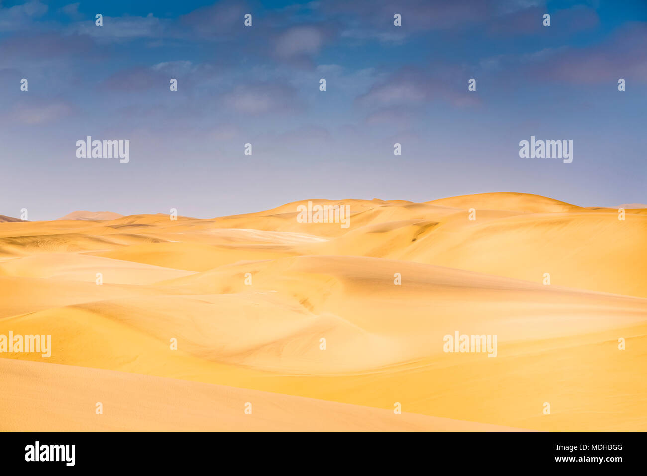 Golden sand dunes in the Namibia desert; Sossusvlei, Hardap Region ...