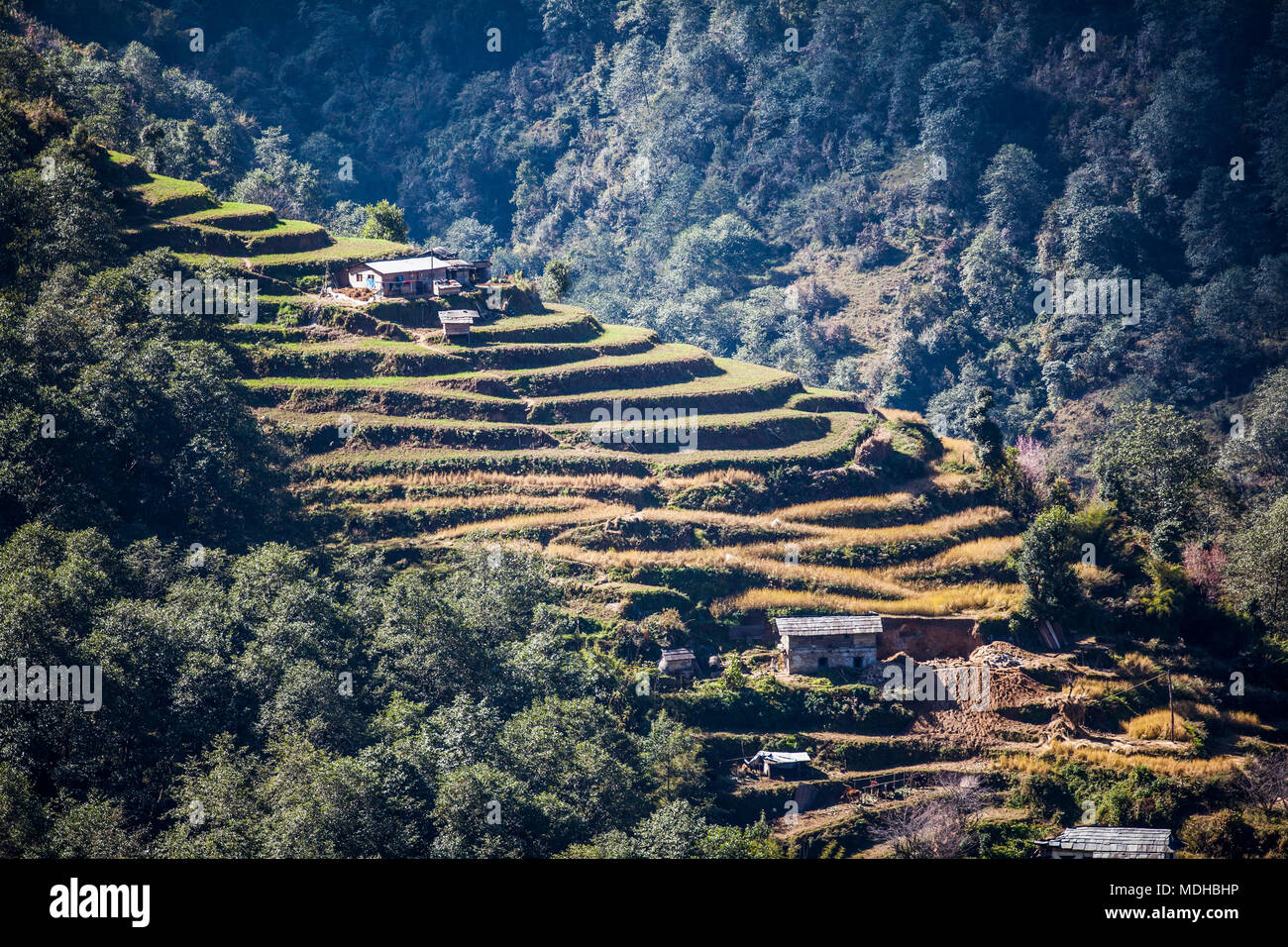 Farming In Nepal High Resolution Stock Photography and Images - Alamy