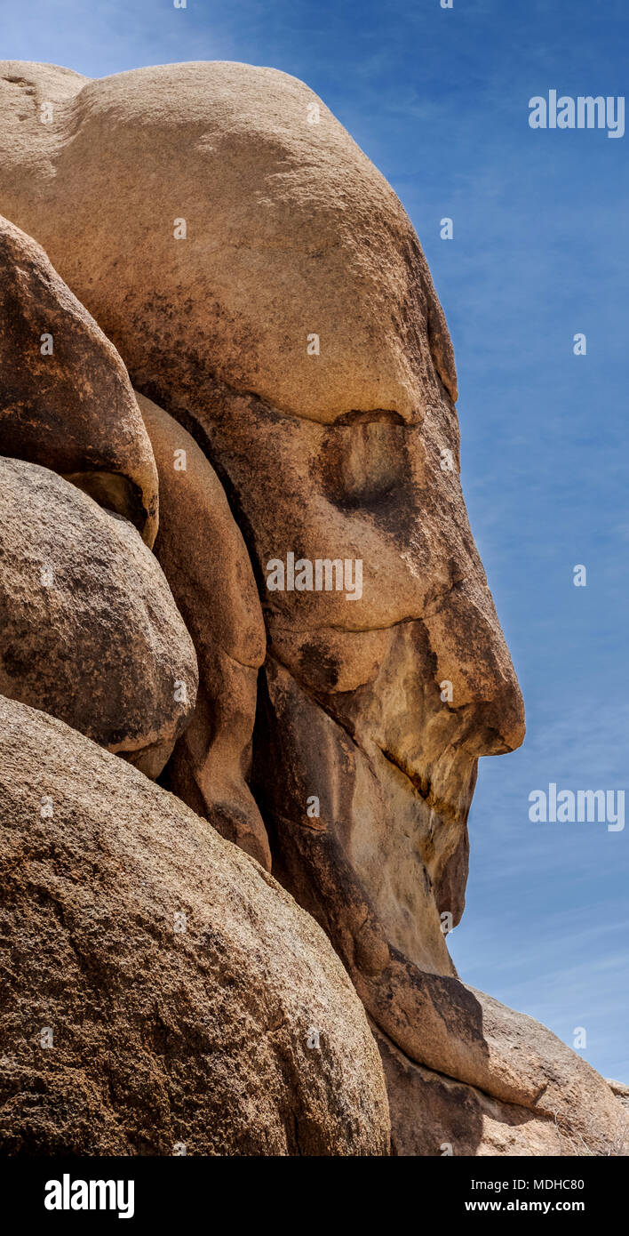Face Rock, Joshua Tree National Park, California, United States of ...
