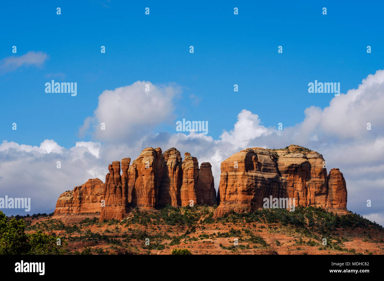 Coconino national forest hi-res stock photography and images - Alamy