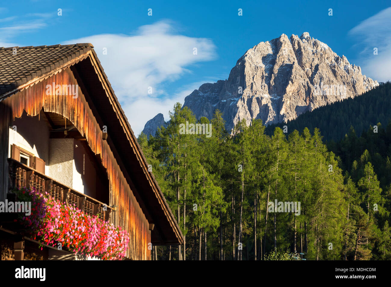 Wooden alpine chalet with flower boxes and mountain in the background ...