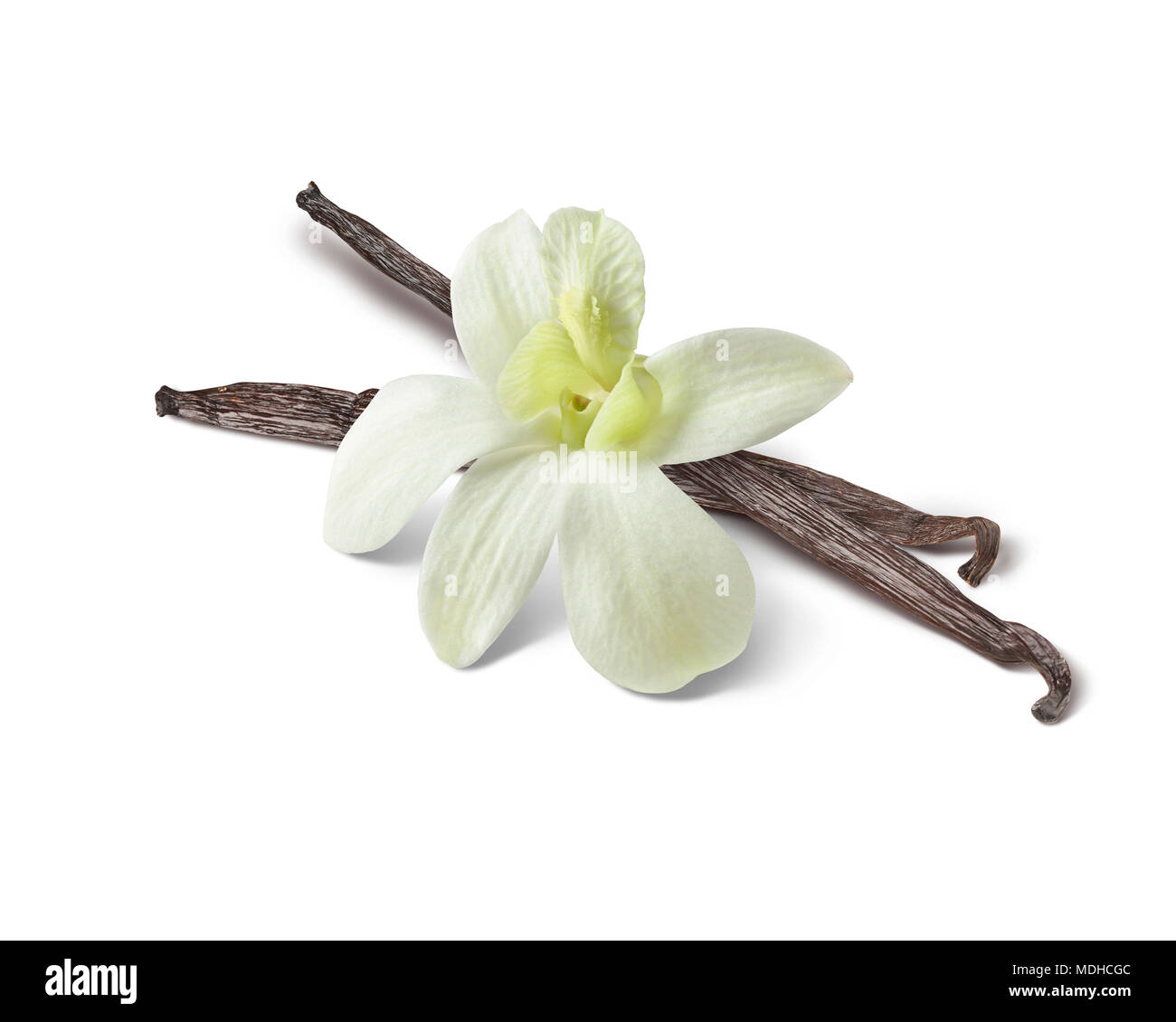 Vanilla Flower Png