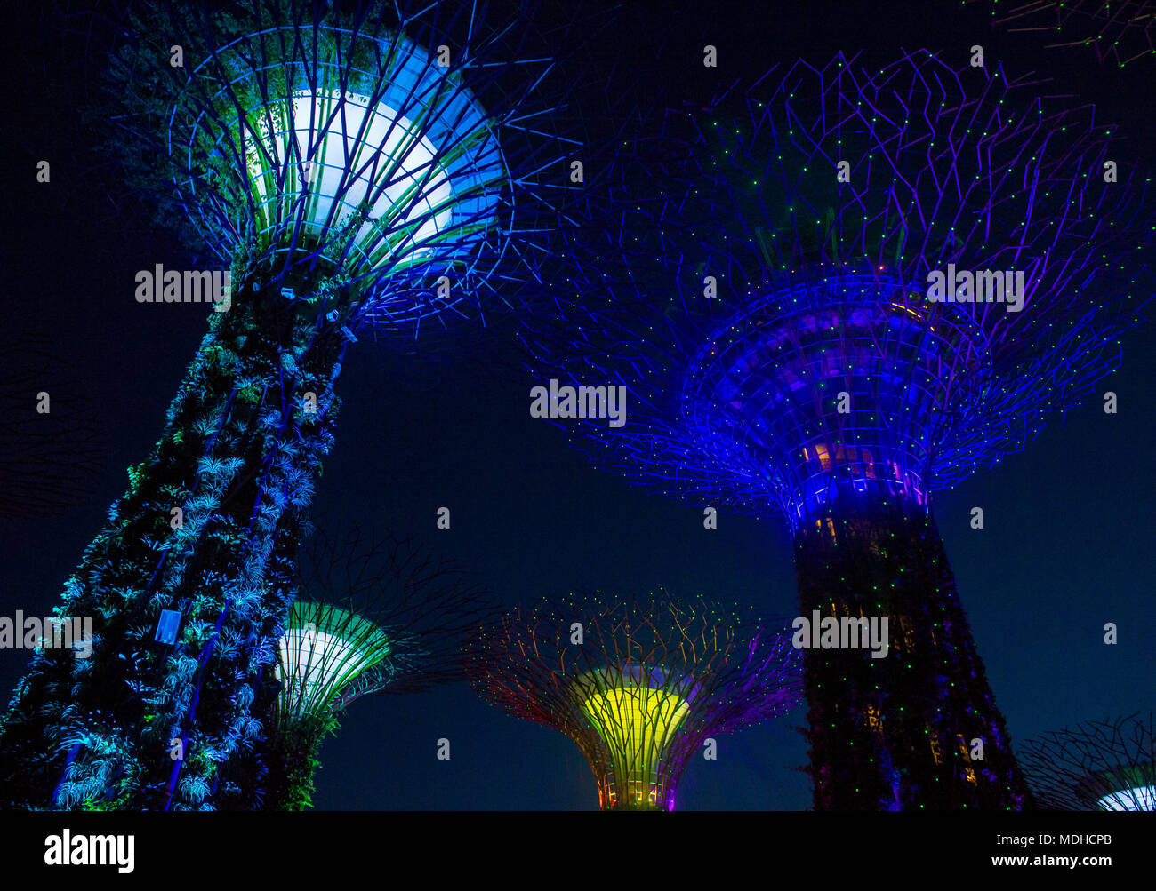 Supertrees in Gardens by the Bay in Singapore Stock Photo - Alamy