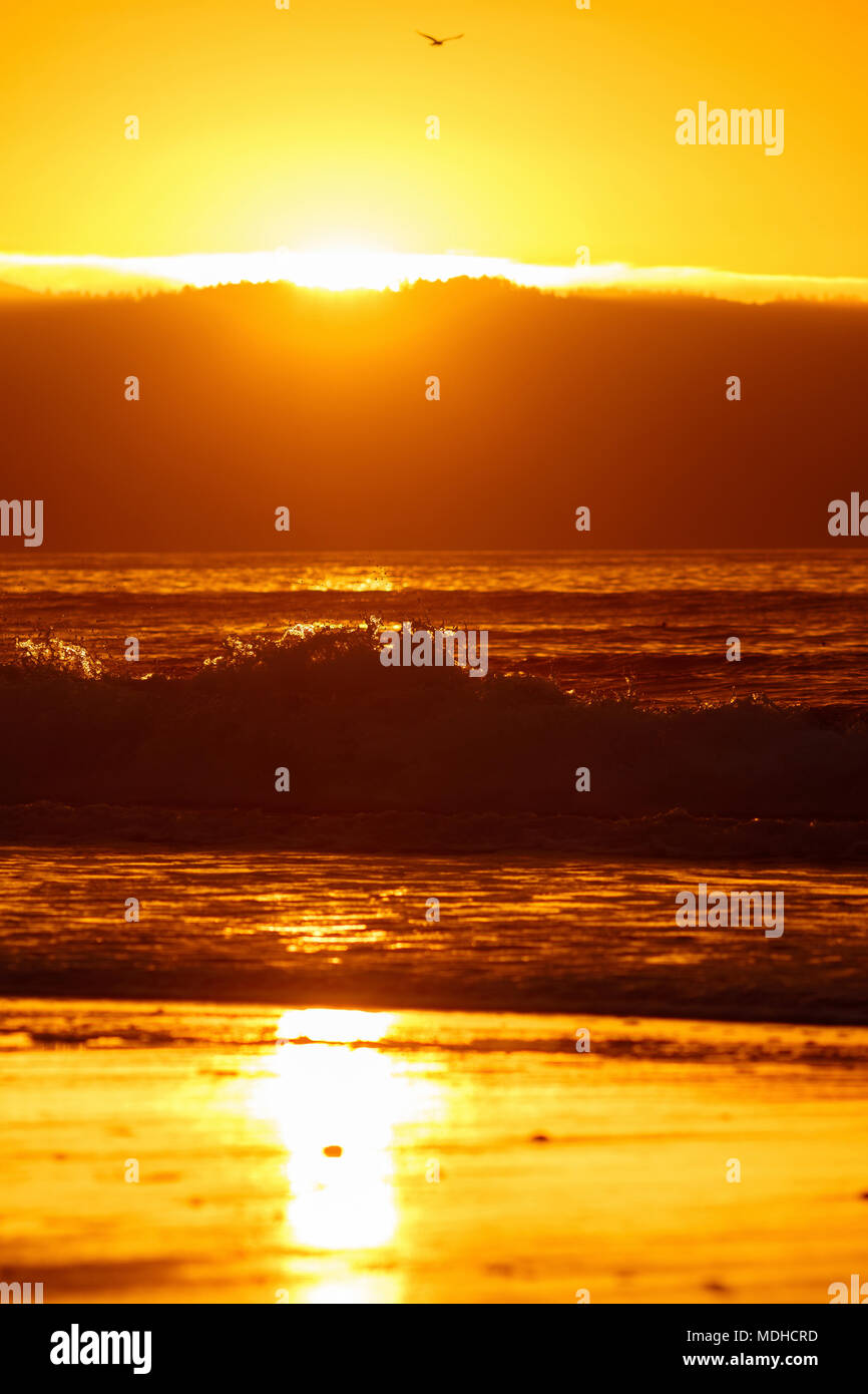 Point no point beach hi-res stock photography and images - Alamy