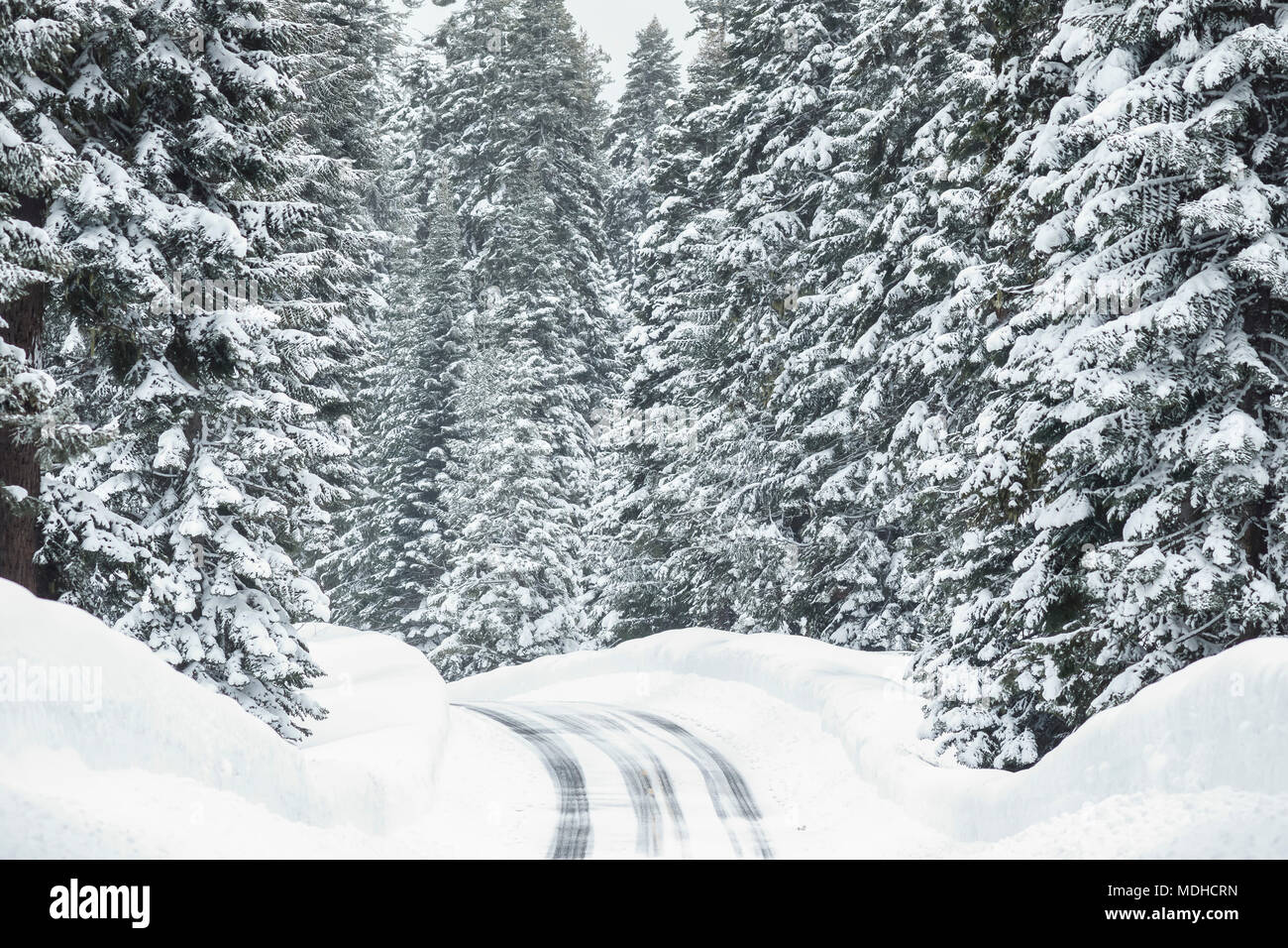 Urban conditions hi-res stock photography and images - Alamy