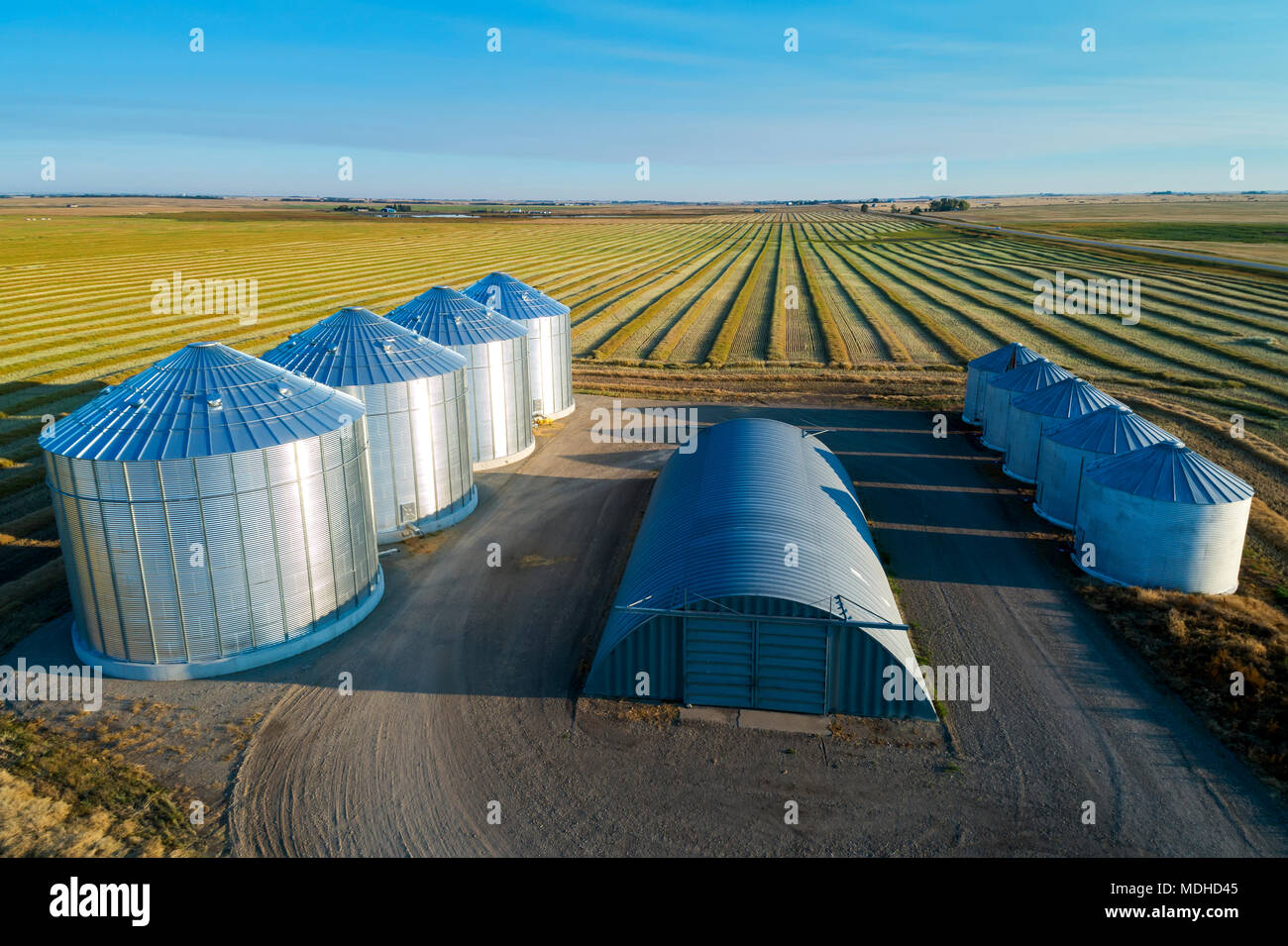 Aerial view of four large metal grain bins and canola harvest lines at ...