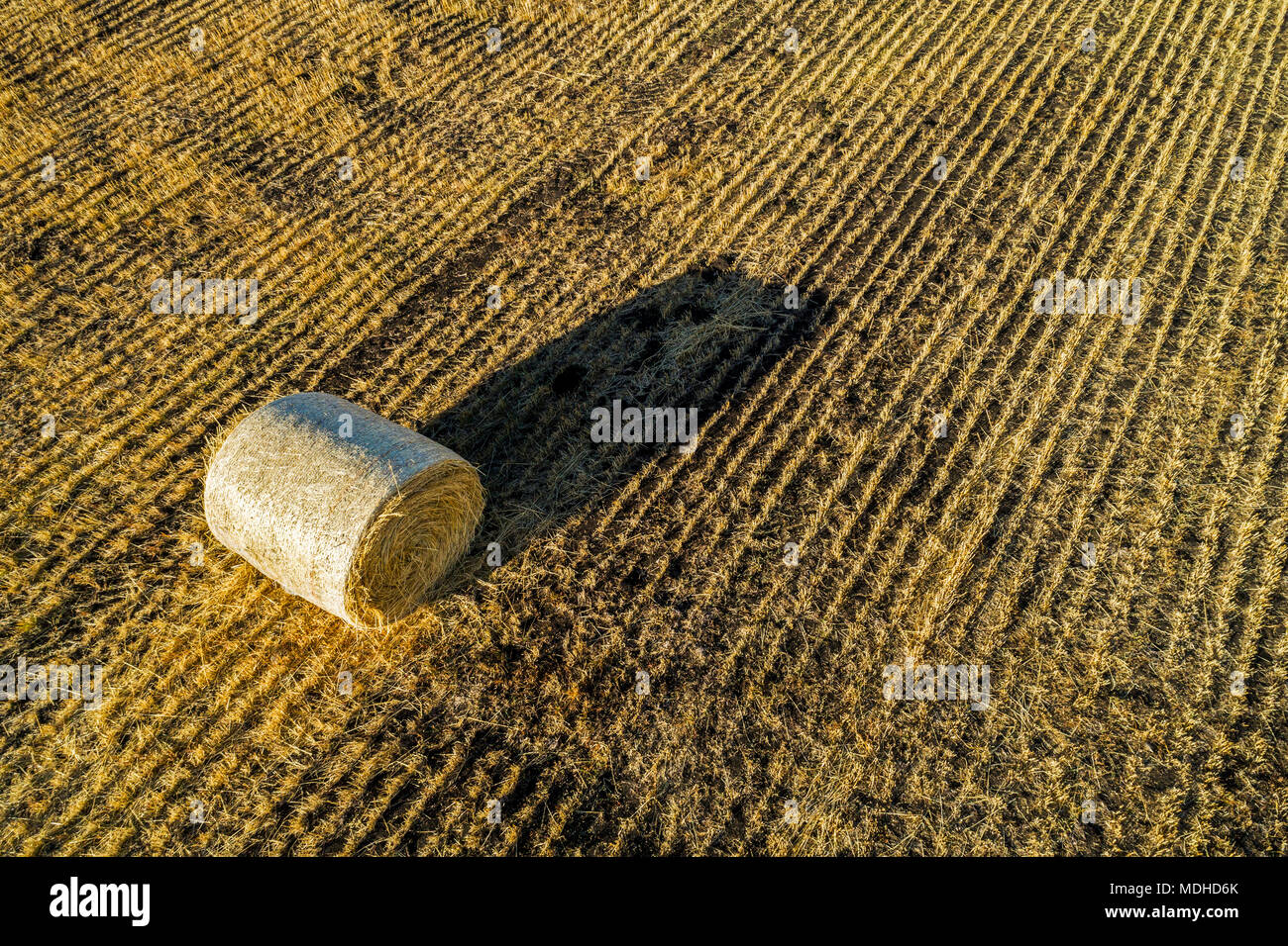 Long shadow at sunrise hi-res stock photography and images - Alamy