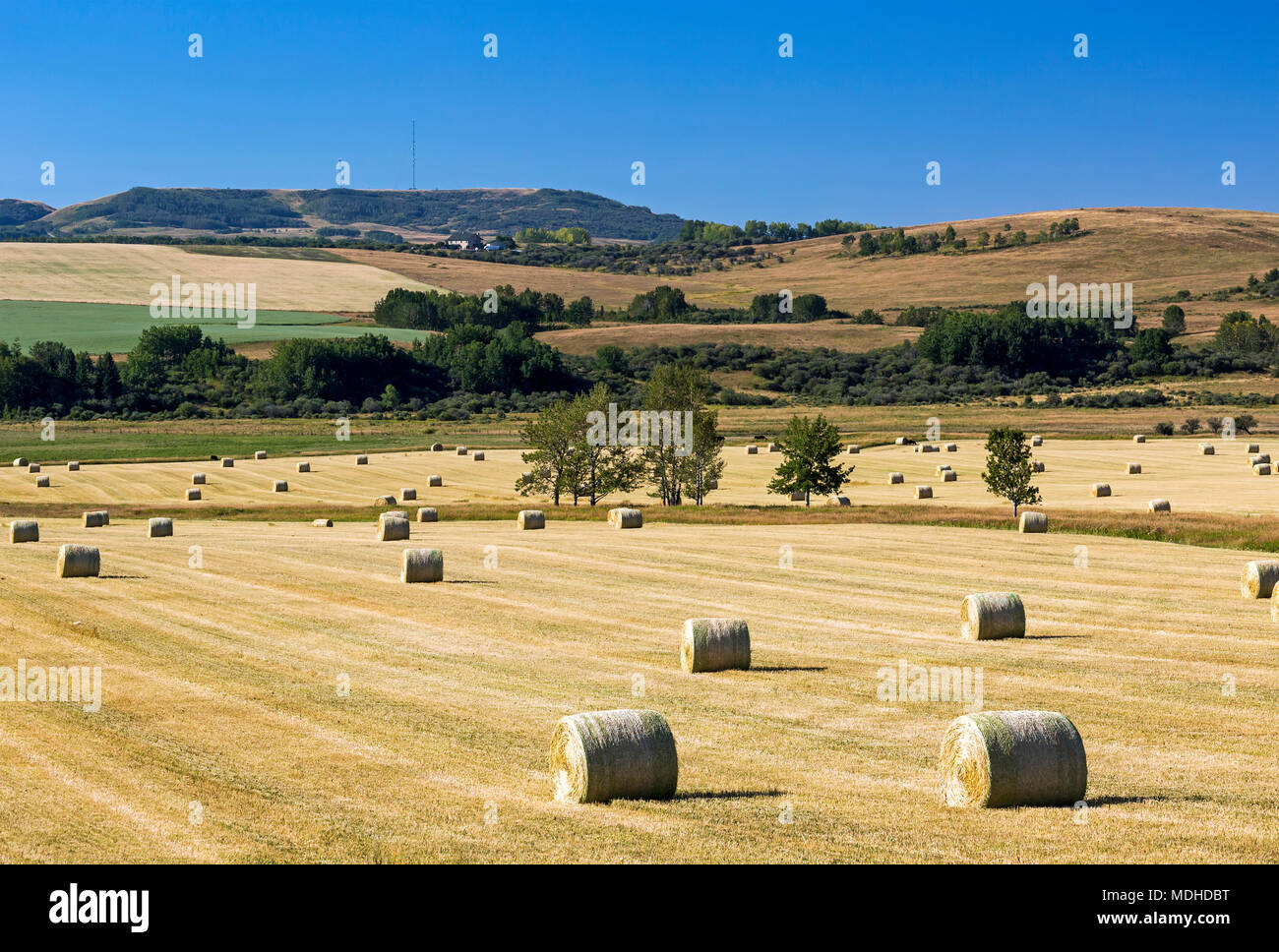Landscape alberta foothills hi-res stock photography and images - Alamy