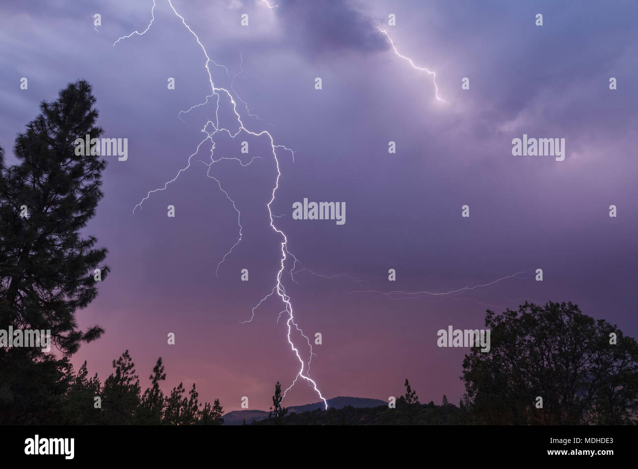 Lightning storm tree silhouette hi-res stock photography and images - Alamy