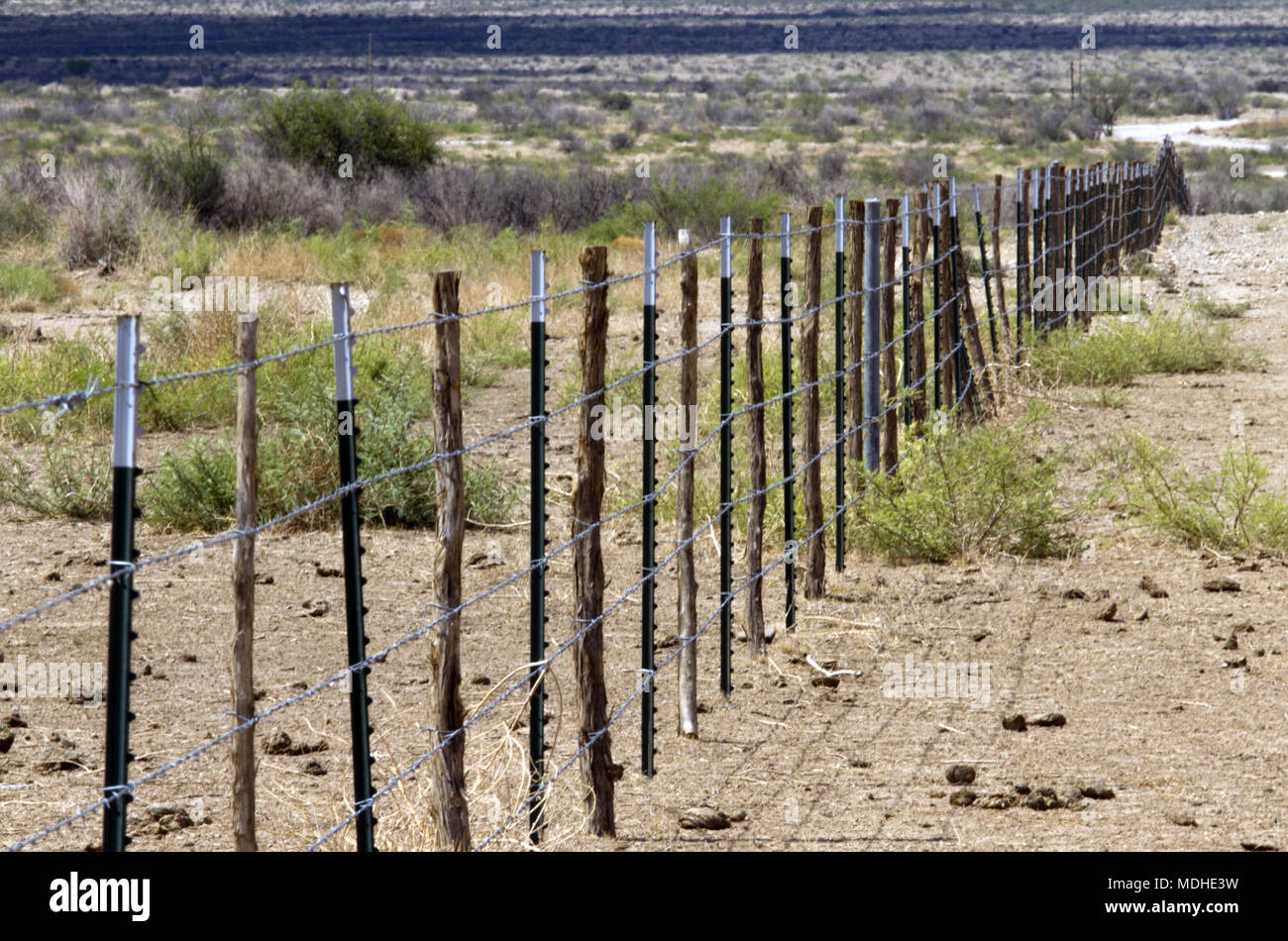 Fence on a West Texas ranch separating grazing areas for cattle Stock ...