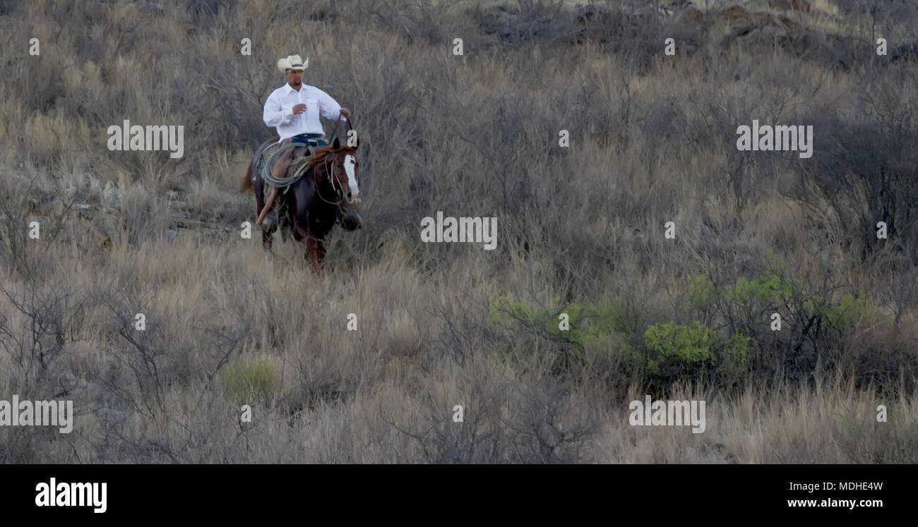 Usa West Texas Cowboy On High Resolution Stock Photography and Images ...