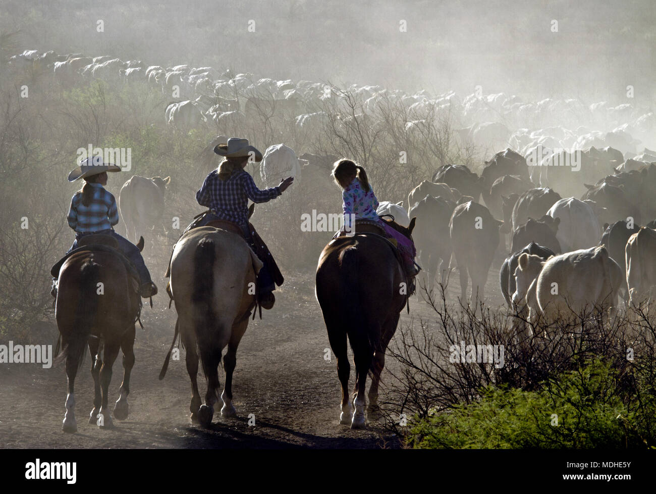 Three cowboys on horseback hi-res stock photography and images - Alamy