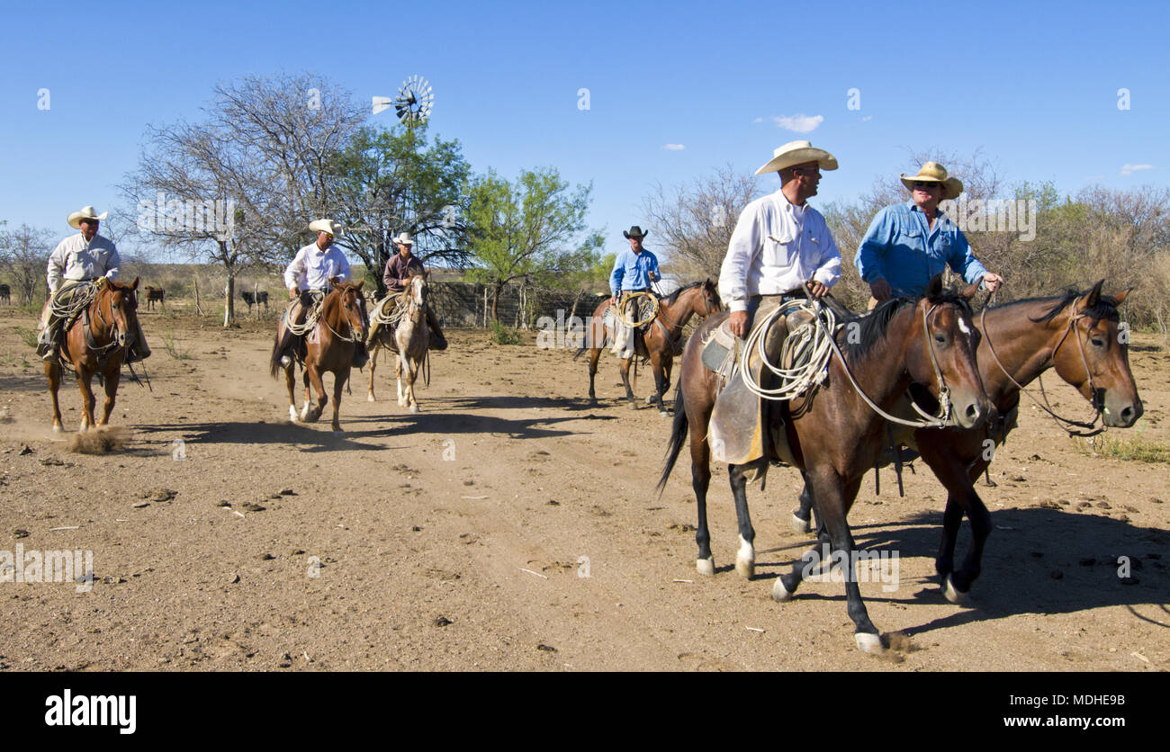 Cowboys on their way to a cattle round up in West Texas ranch Stock ...
