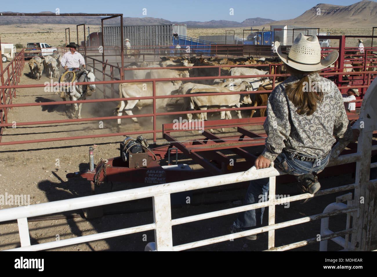 Texas Rancher Girl