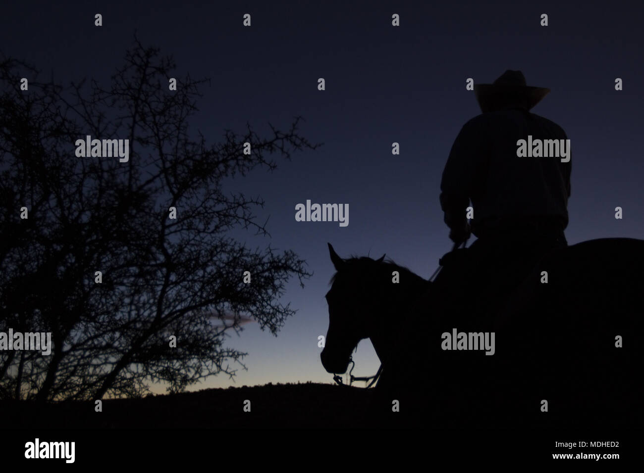 Silhouette Of A Cowboy On Horse Stock Photos & Silhouette Of A Cowboy ...