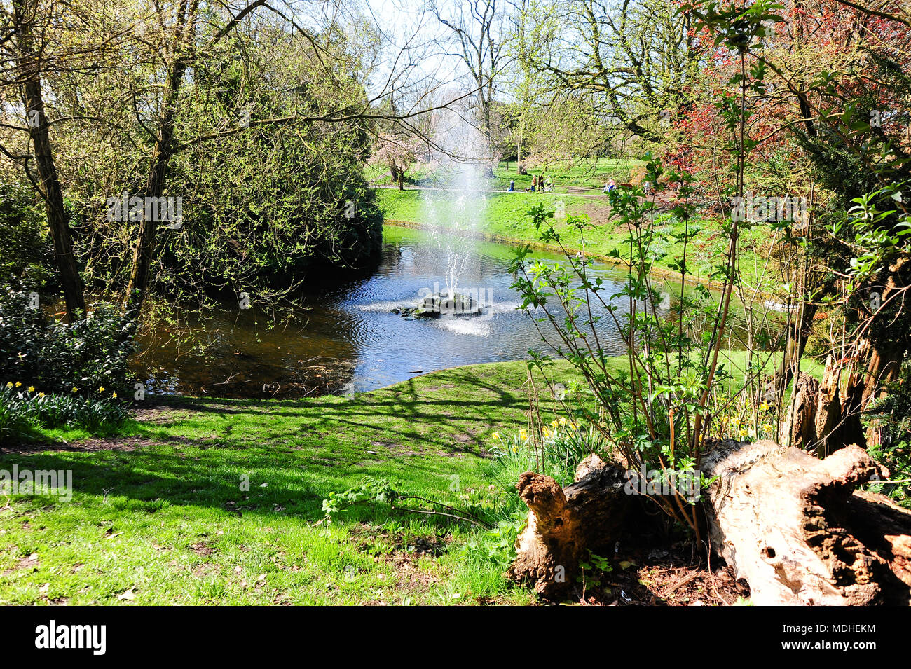 spring time in Sefton Park, Liverpool, England Stock Photo - Alamy