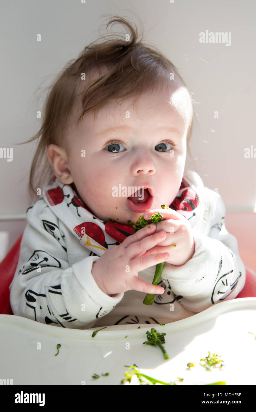 Baby led weaning Stock Photo - Alamy
