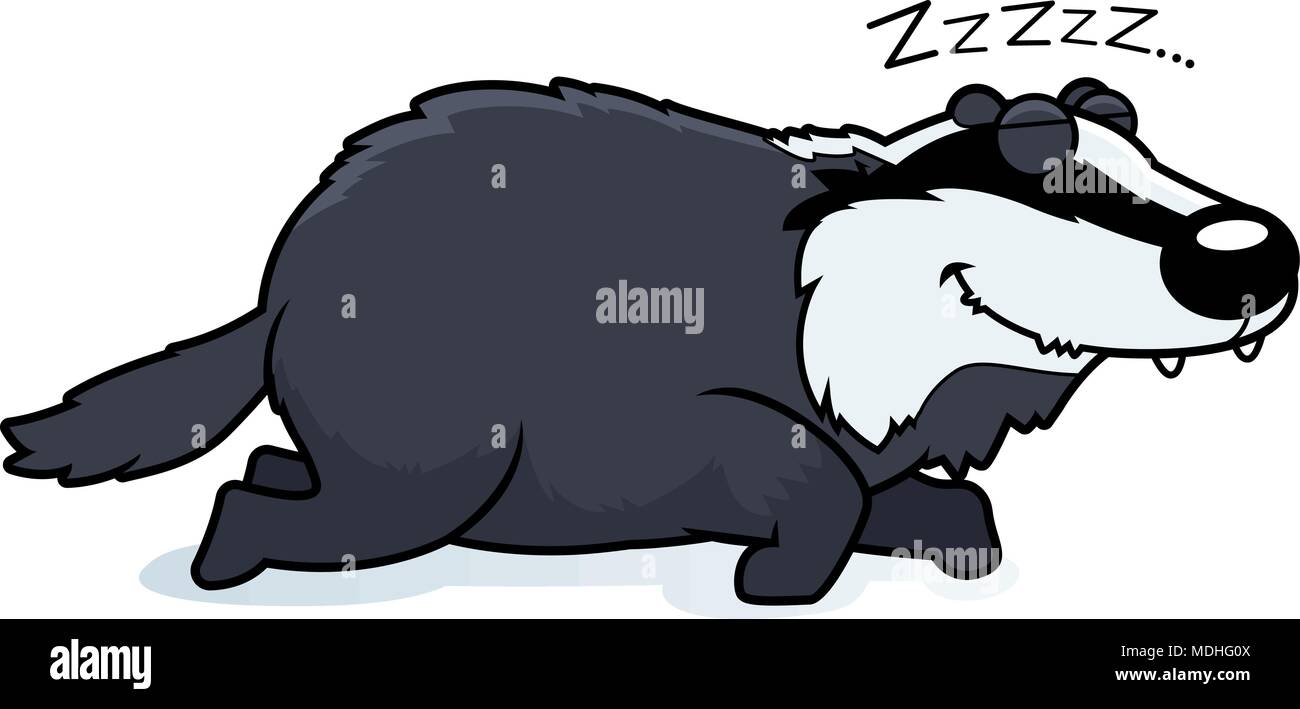 A cartoon illustration of a badger sleeping Stock Vector Image & Art ...