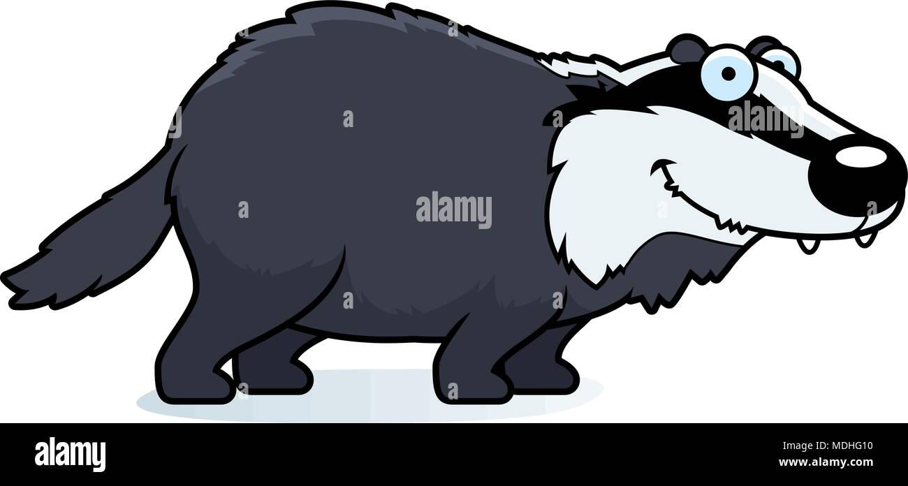A cartoon illustration of a badger smiling and standing Stock Vector ...