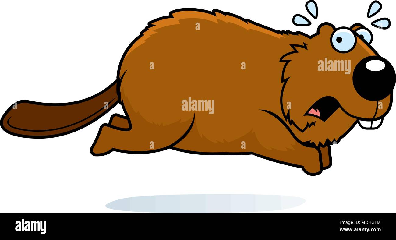A cartoon illustration of a beaver running away Stock Vector Image ...