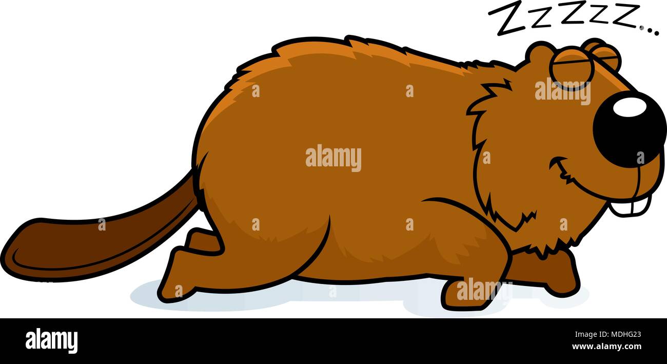 A cartoon illustration of a beaver sleeping Stock Vector Image & Art ...