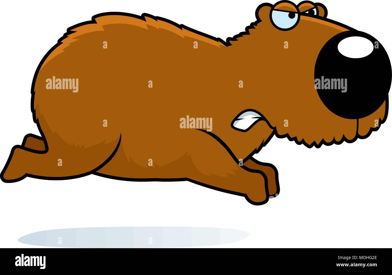 A cartoon illustration of a capybara angry and running Stock Vector ...