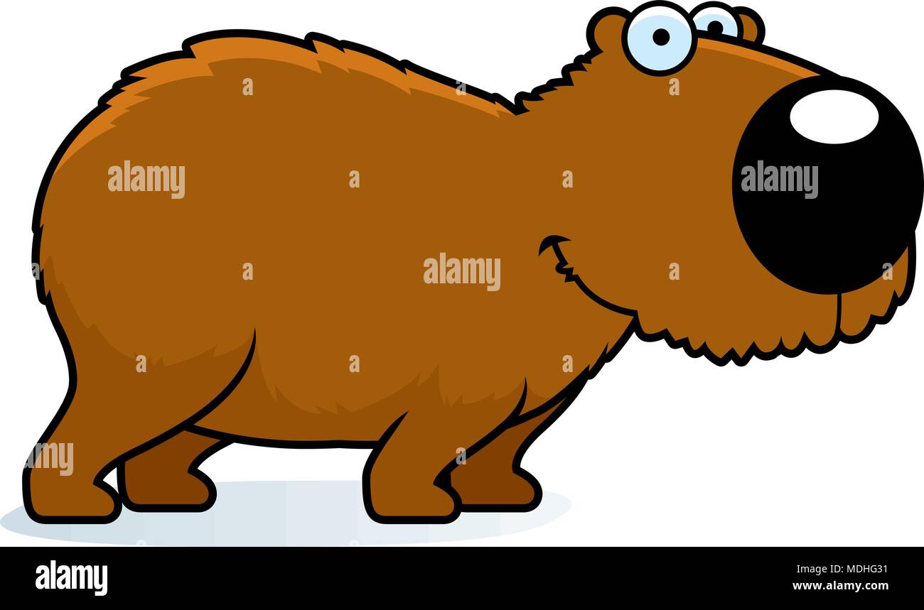 A cartoon illustration of a capybara smiling and standing Stock Vector ...