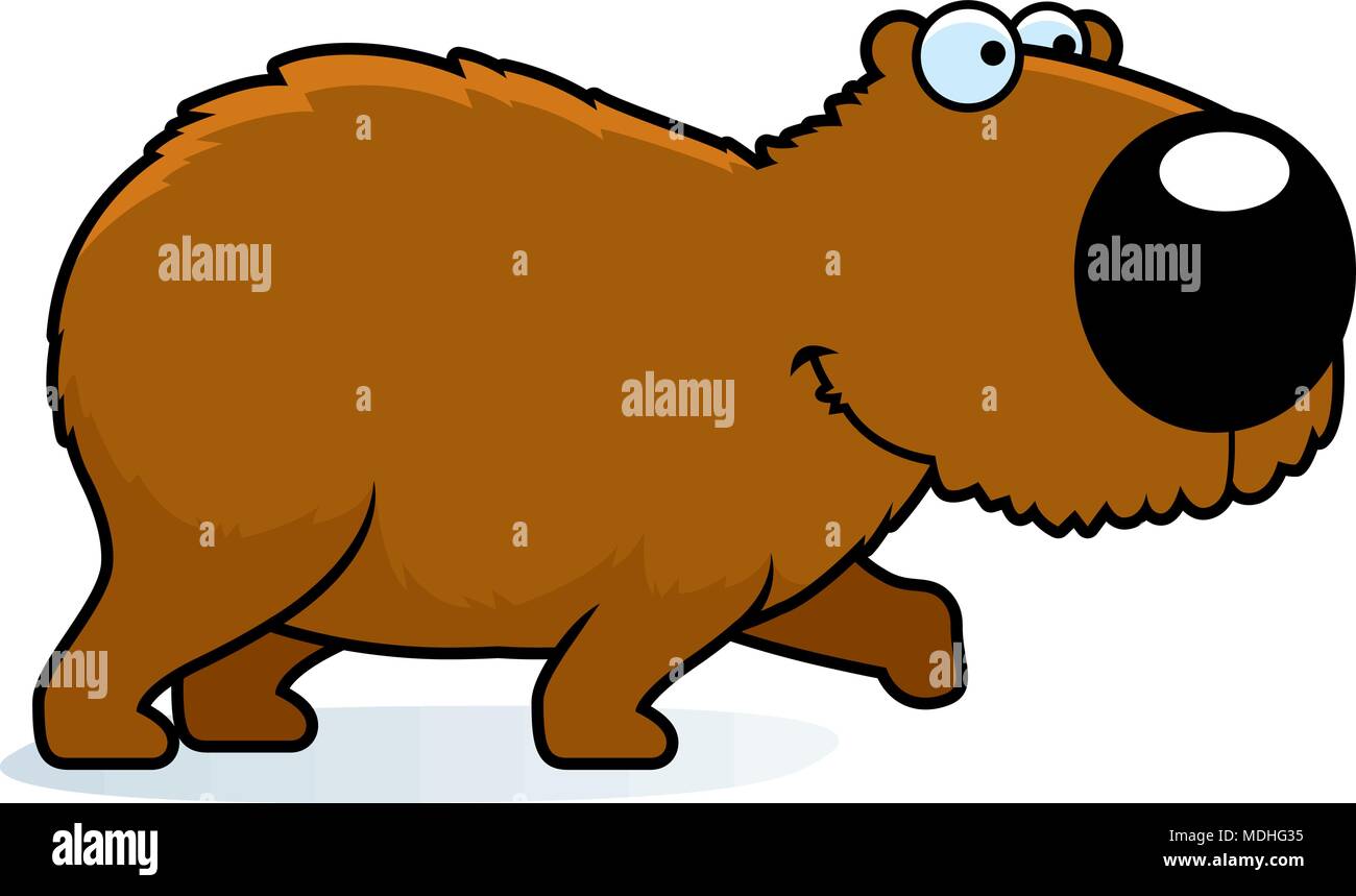 A cartoon illustration of a capybara walking Stock Vector Image & Art ...