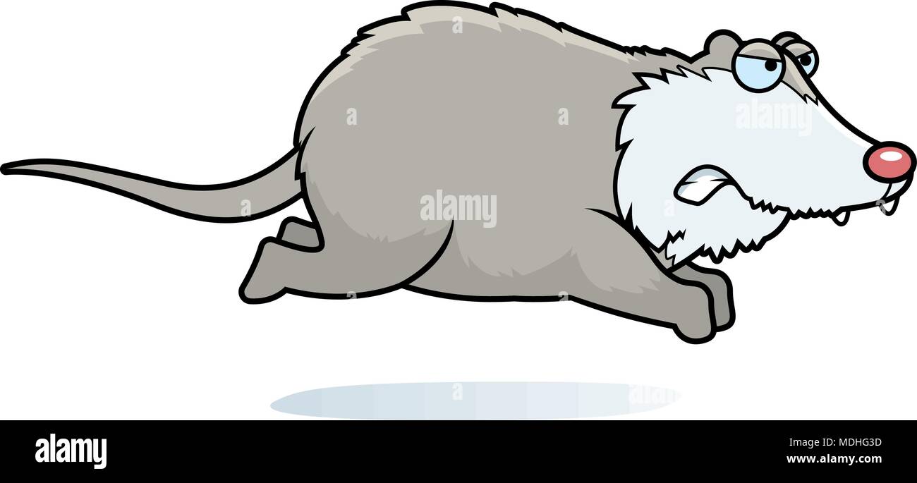 A cartoon illustration of a opossum angry and running Stock Vector ...