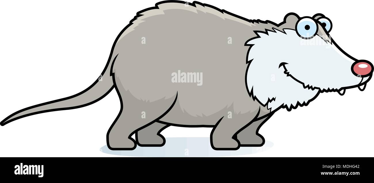 A cartoon illustration of a opossum smiling and standing Stock Vector ...