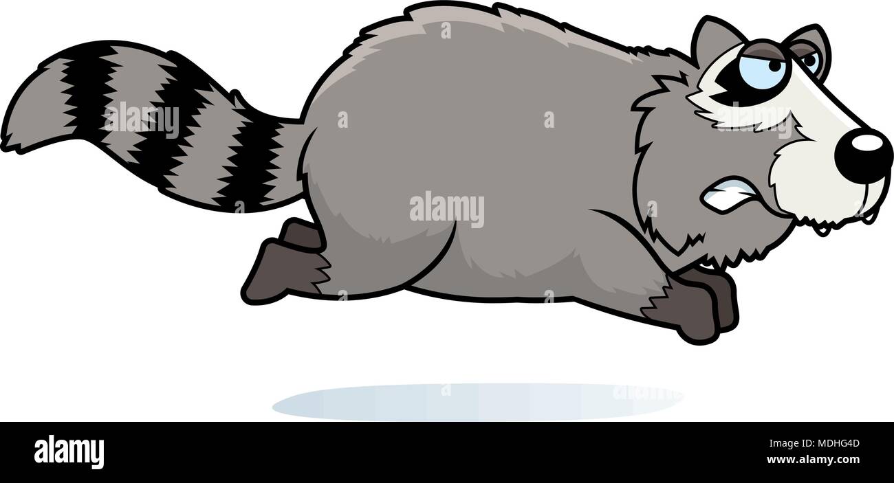 A cartoon illustration of a raccoon angry and running Stock Vector ...