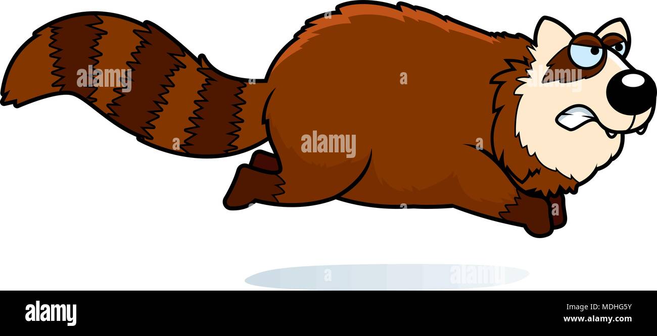 A cartoon illustration of a red panda angry and running Stock Vector ...