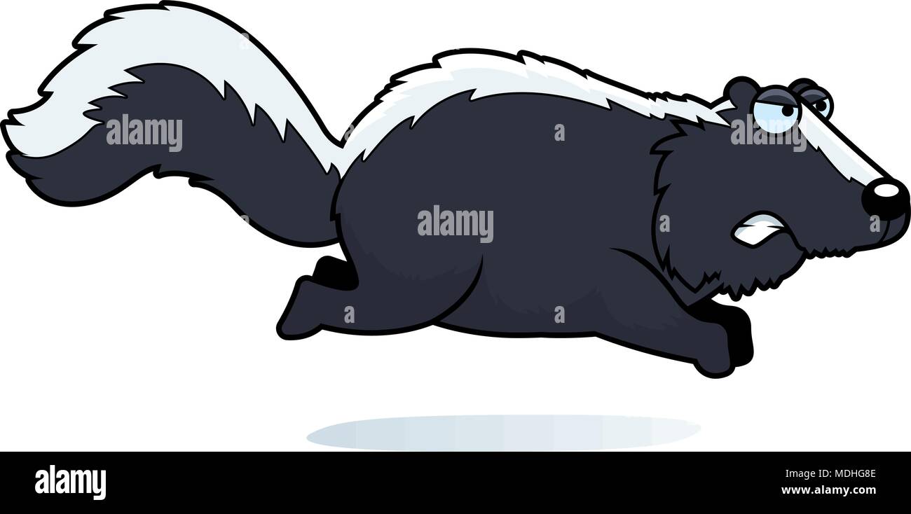 A cartoon illustration of a skunk angry and running Stock Vector Image ...