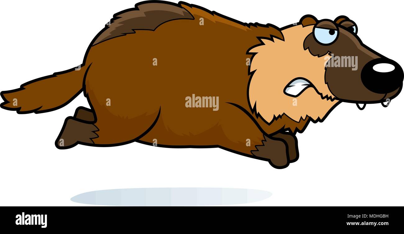 Wolverine animal cartoon illustration hi-res stock photography and ...