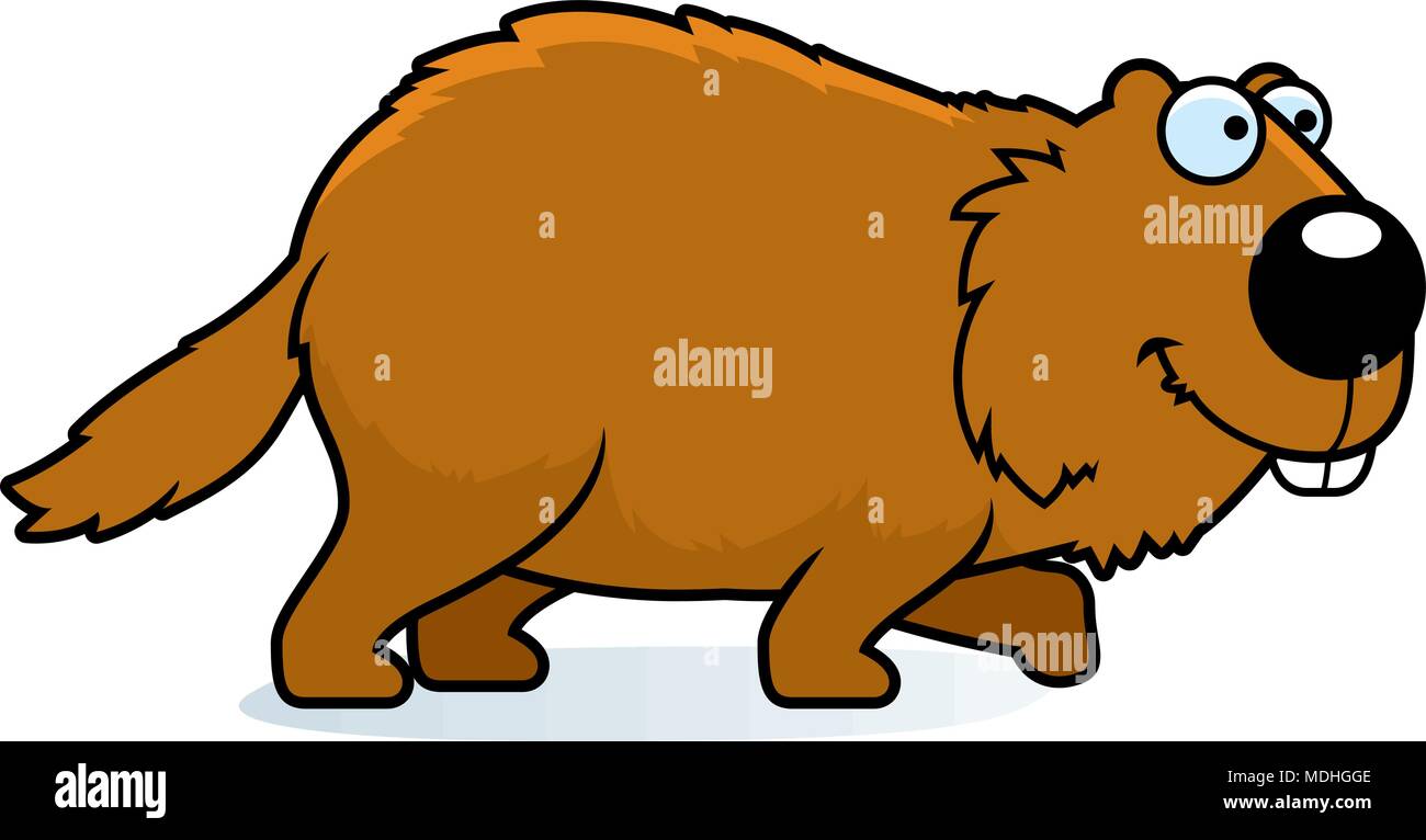 Woodchuck vector vectors hi-res stock photography and images - Alamy