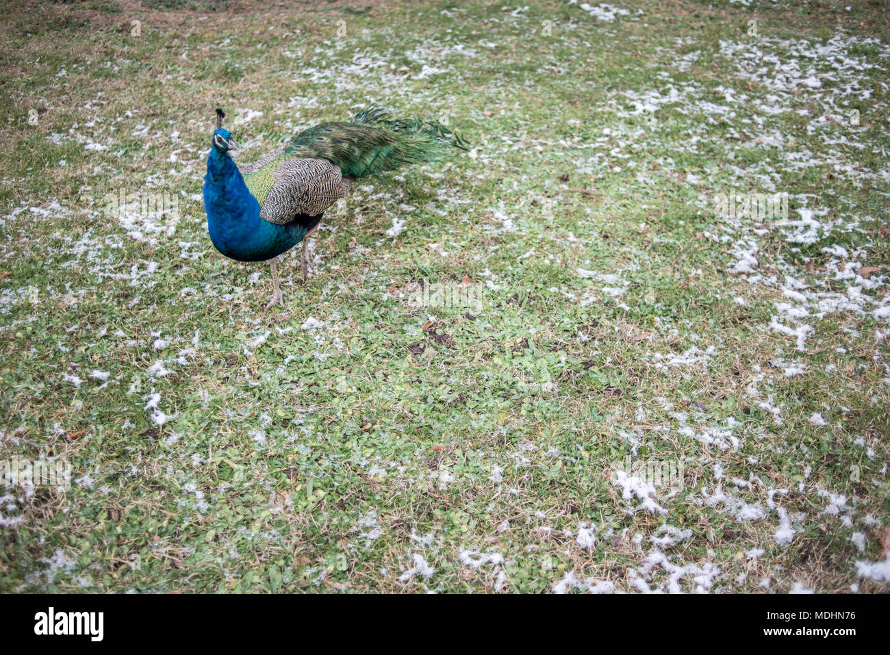 Ohrid winter hi-res stock photography and images - Alamy