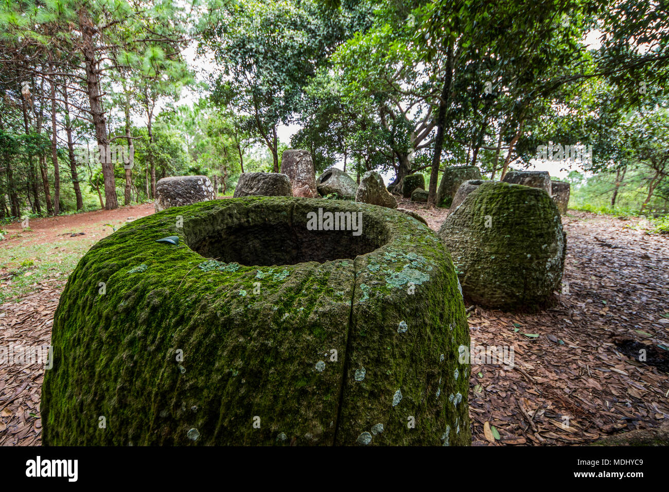 Megalithic stone jars at Site 2, Plain of Jars; Xiangkhouang, Laos ...