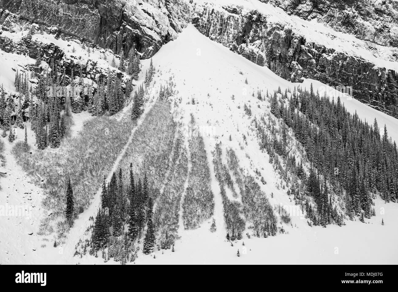 Rock slide trees hi-res stock photography and images - Alamy