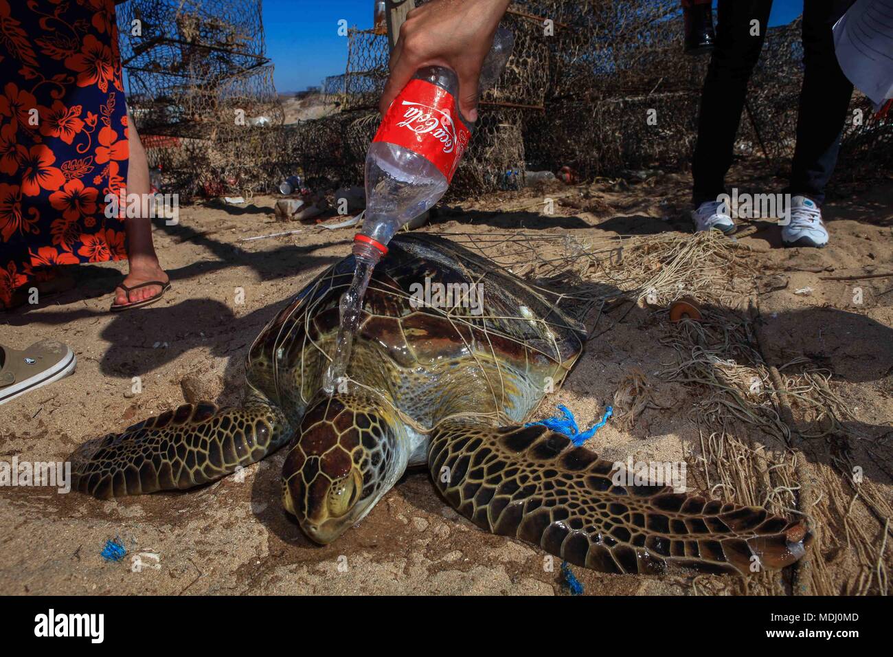 Coca cola origin hi-res stock photography and images - Alamy