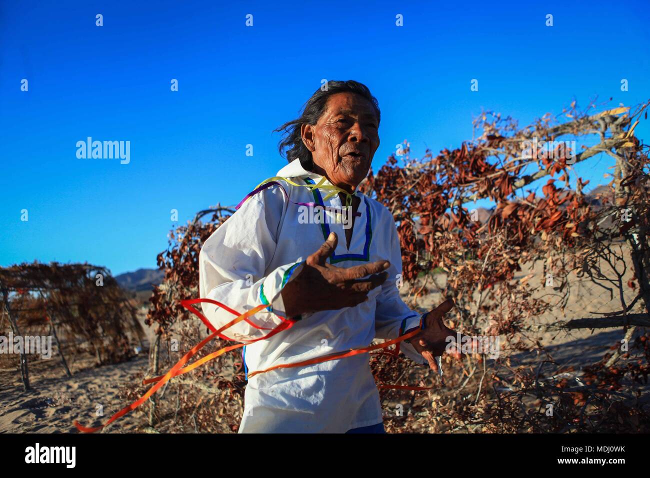 Seri is the name of an ethnic group that lives in the Mexican state of ...