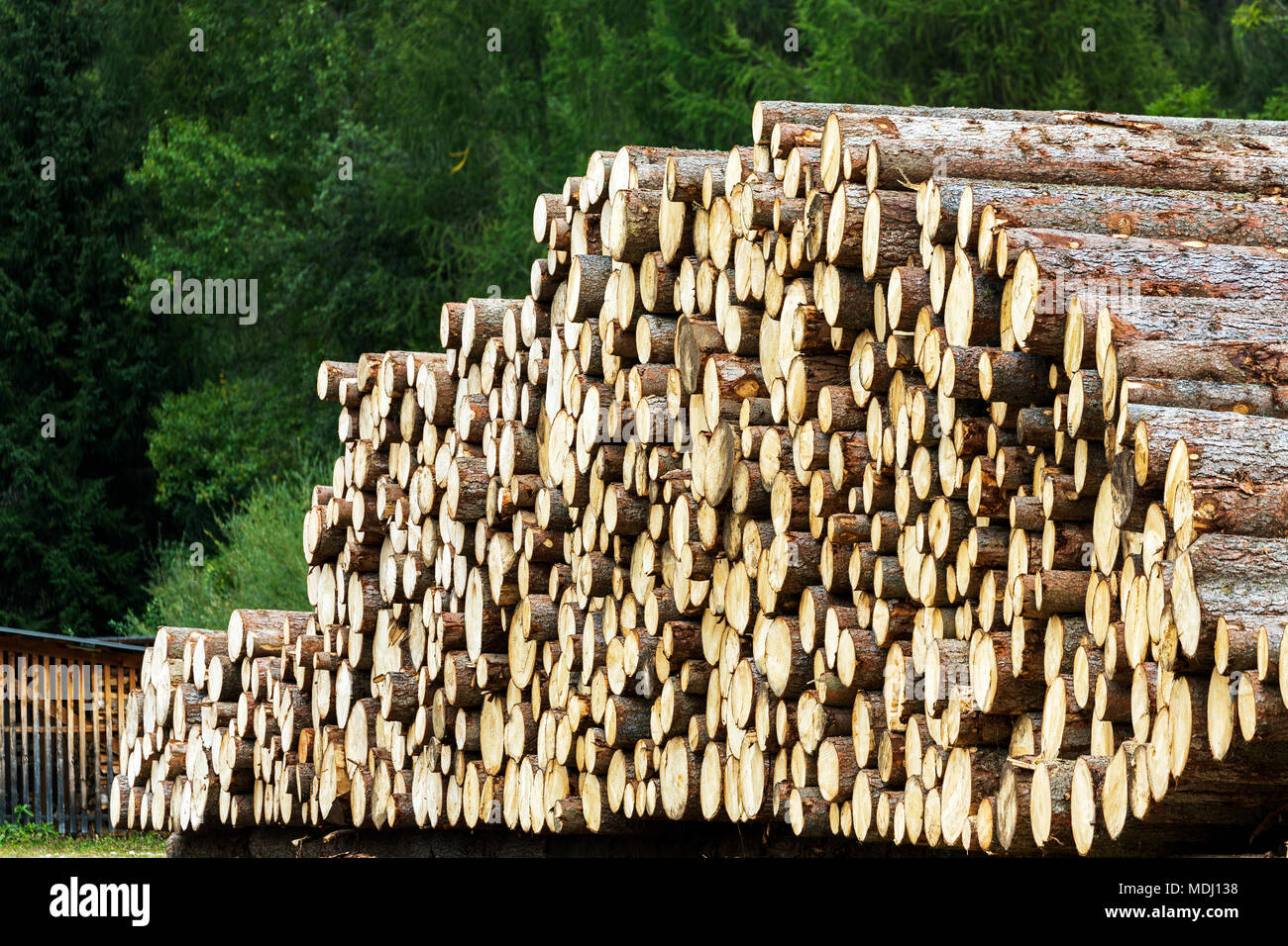 Large pile of stacked logs; San Candido, Bolzano, Italy Stock Photo - Alamy