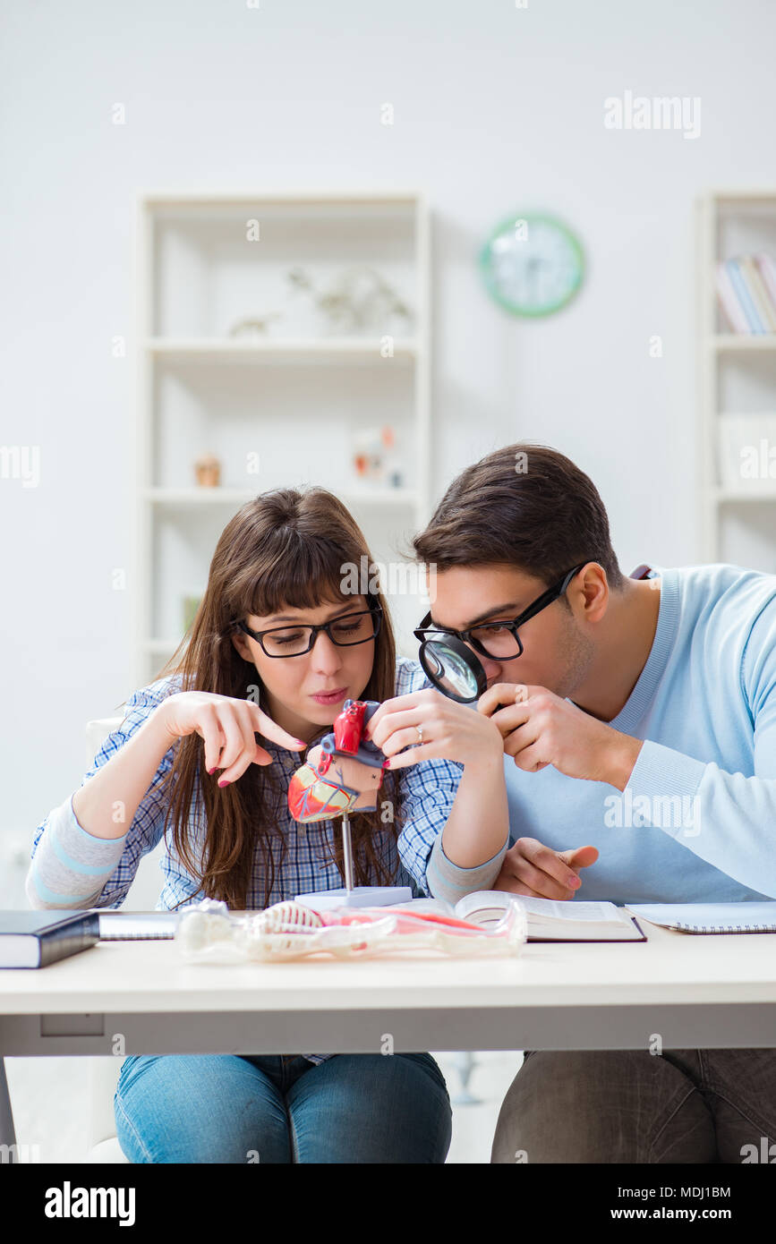 Two medical students studying in classroom Stock Photo - Alamy