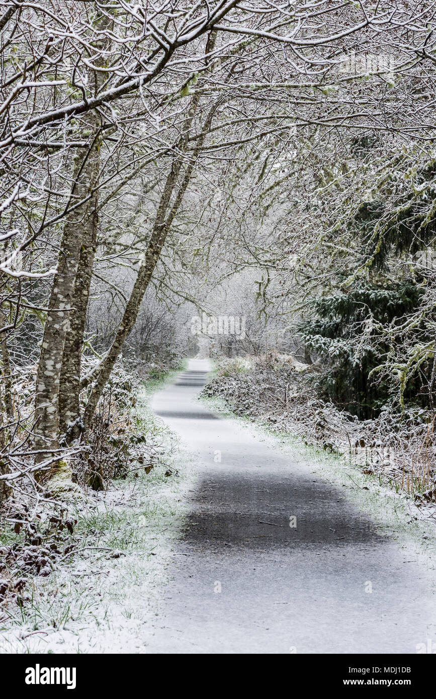 Lewis and clark oregon trail hi-res stock photography and images - Alamy
