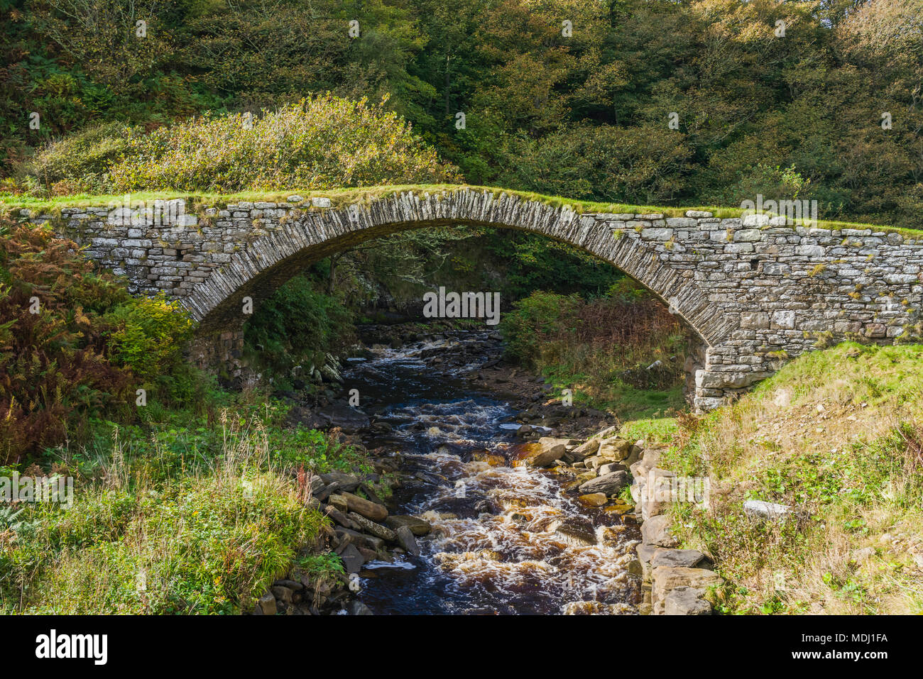Stone arch bridge over a flowing stream; Dunbeath, Scotland Stock Photo ...