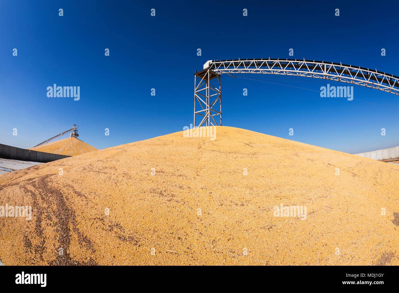 Grain conveyor hi-res stock photography and images - Alamy