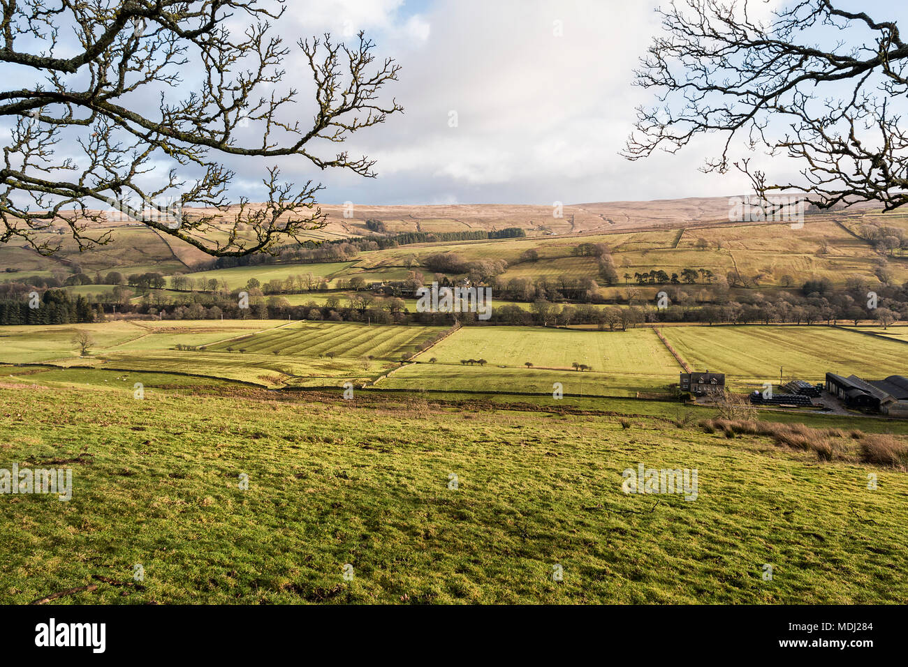 Green fields and distant hills of the Allen Valley; England Stock Photo ...