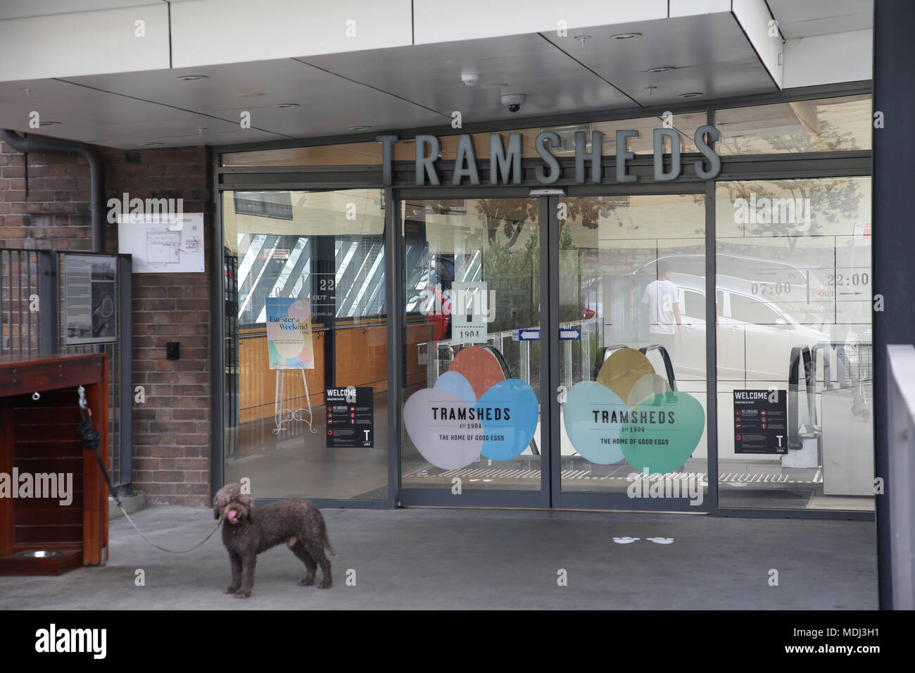 Tramsheds, Forest Lodge taken from Maxwell Road, Glebe, Sydney ...